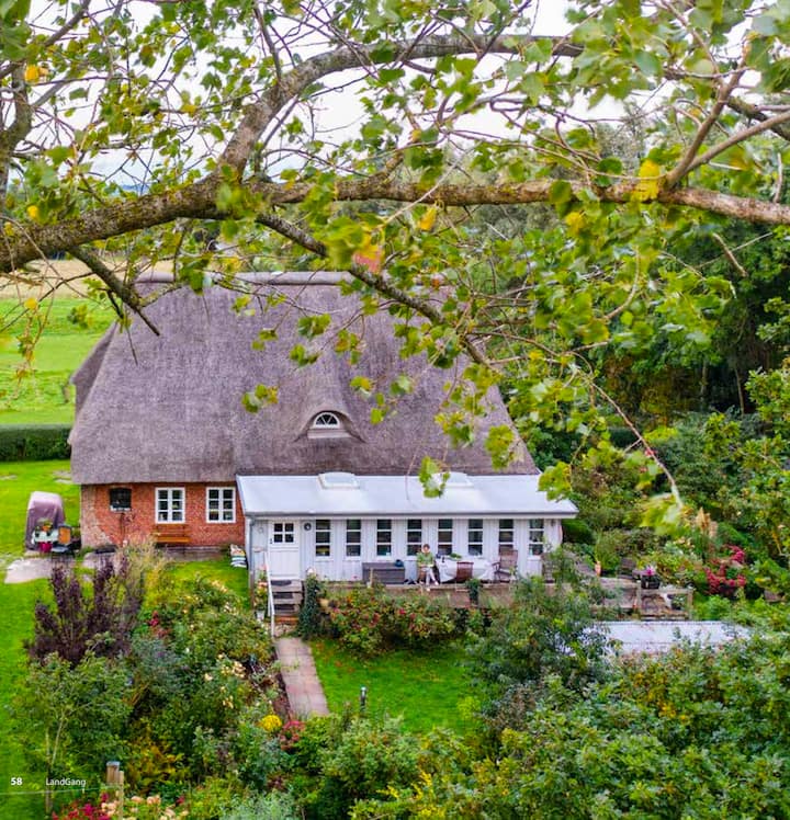 Charmantes Studio - Storchennest - Husum