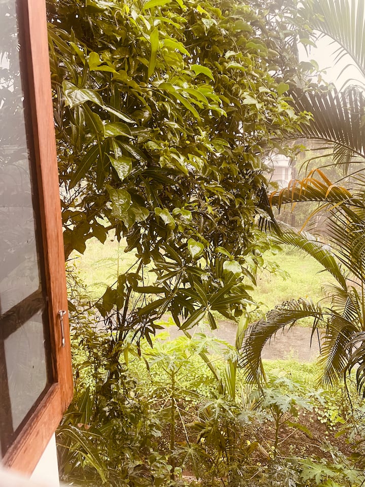 Live In A Garden Near Apollo Hospital And Airport! - Chalakudy
