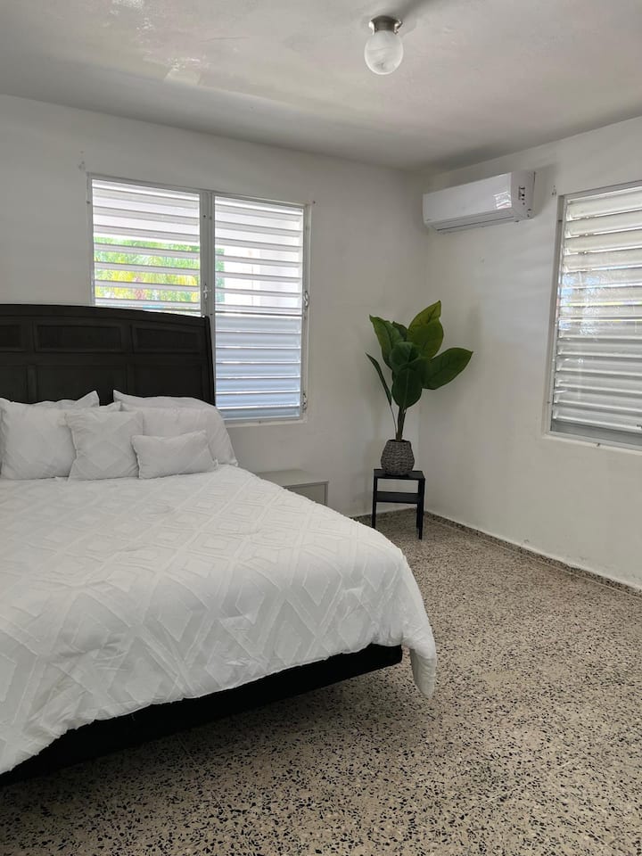 Coral Reef B, With Solar Panels - Isabela