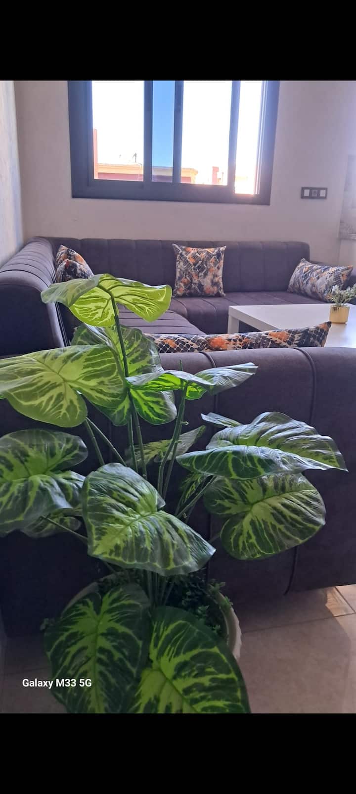 Appartement Lumineux à Proximité (Snack Bruxelles) - Saidia
