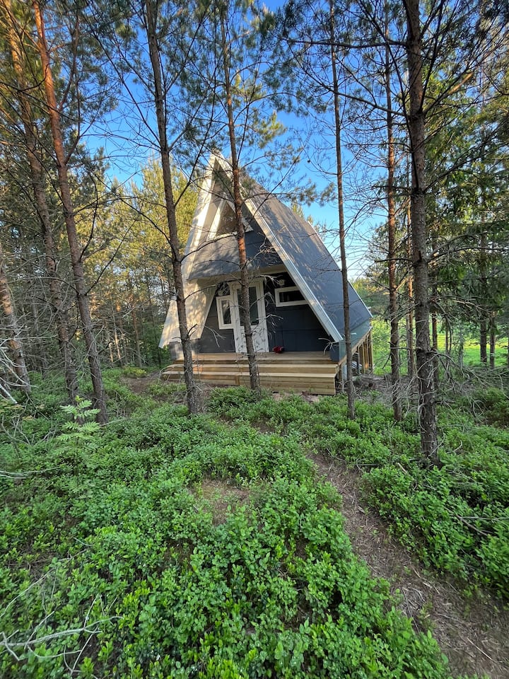 Idyll I Skogen - Habo