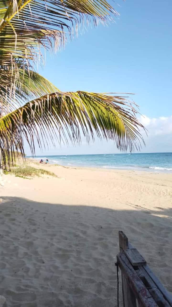 Brisamarina - Havana