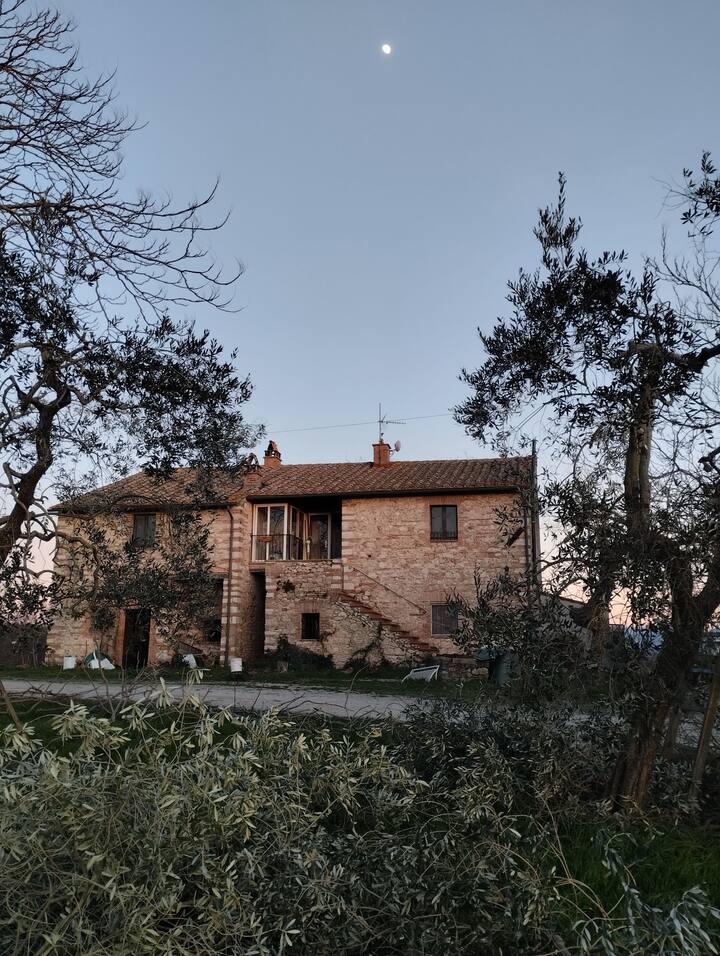 Antico Casale Intero Alloggio Massimo 10 Ospiti - Orte