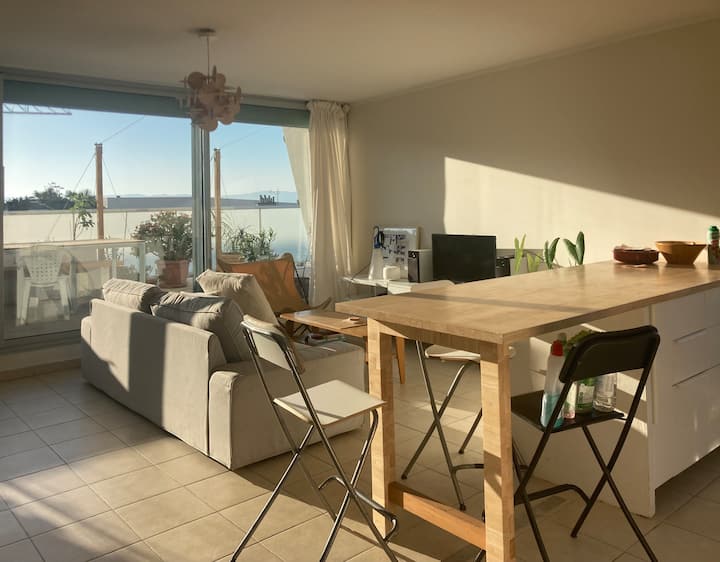 Duplex Dans Le Ciel Avec Terrasse Et Garage -