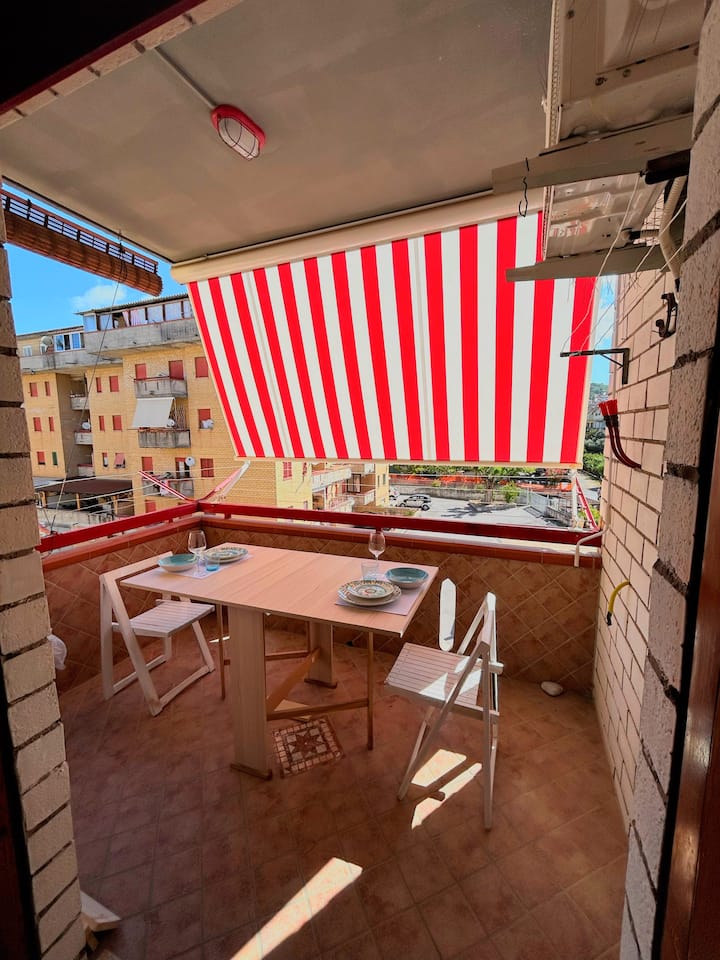 La Mia Mimosa - Scalea