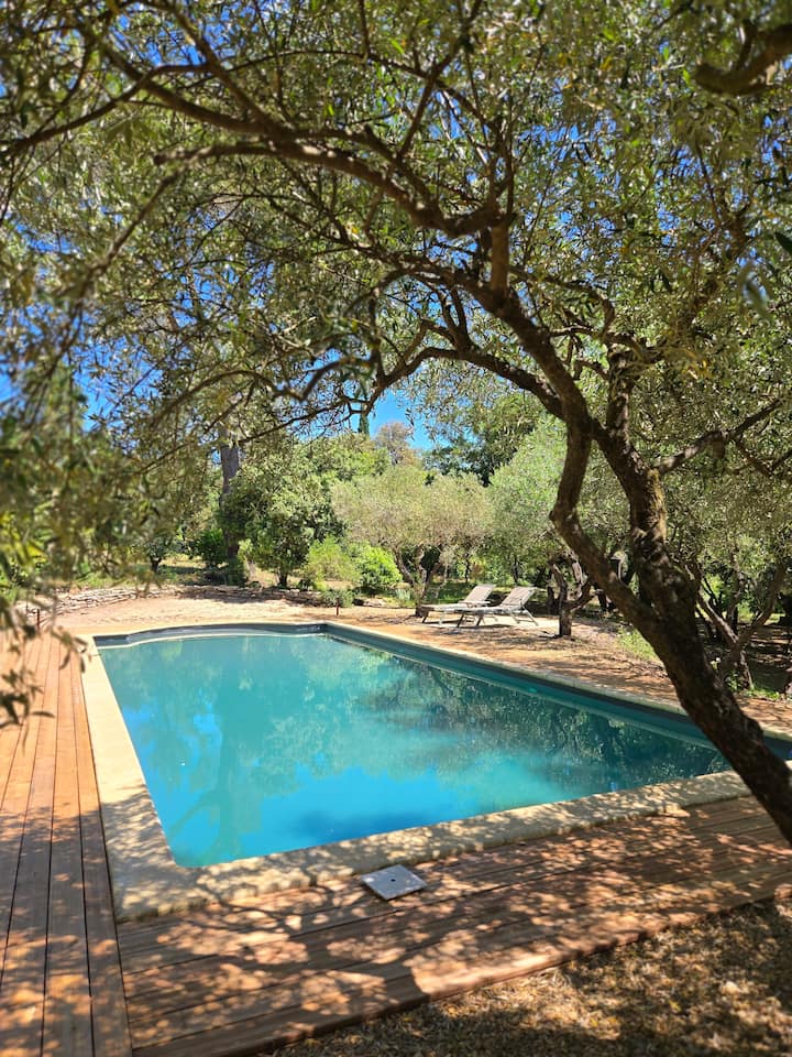 Town And Country: Ville Et Garrigue à Uzès! - Uzès