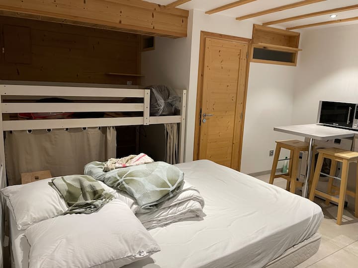 Chaleureux Petit Studio - Briançon