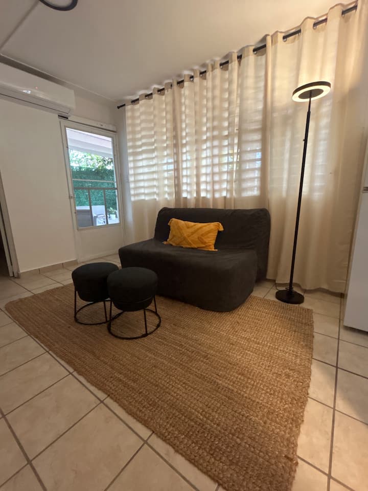 1 Bedroom Plus Living Room Second Living Area - Guaynabo
