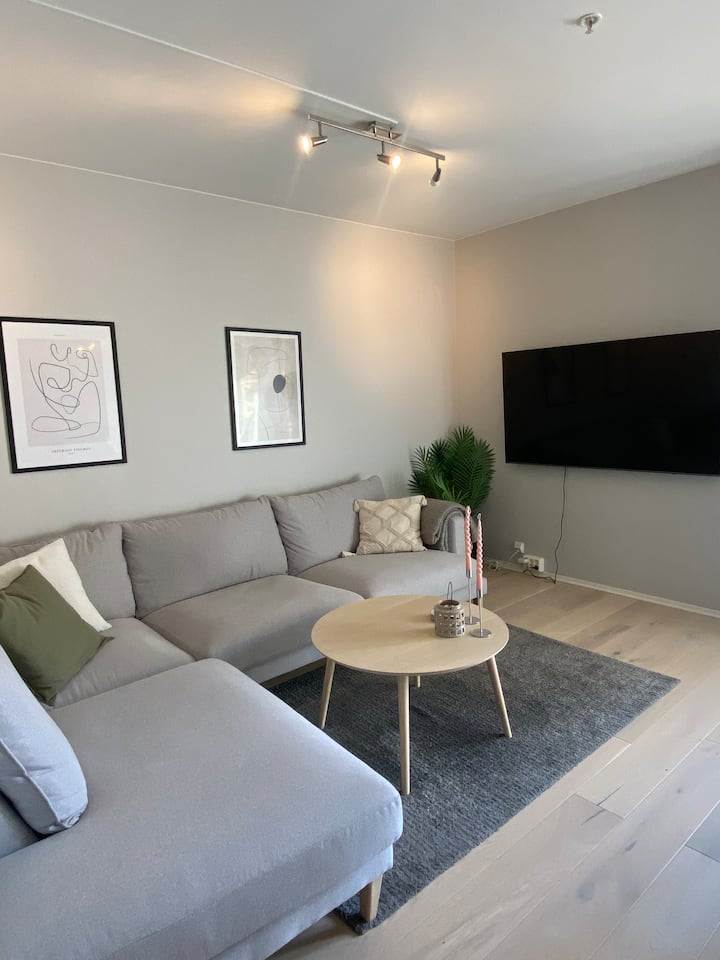 Fin Og Sentral Leilighet På Grunerløkka - Oslo
