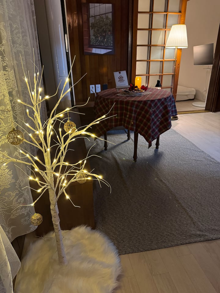 1월 [스테이선화] 6명/성심당 본점/선리단길/주택/마당/감성숙소 - Daejeon