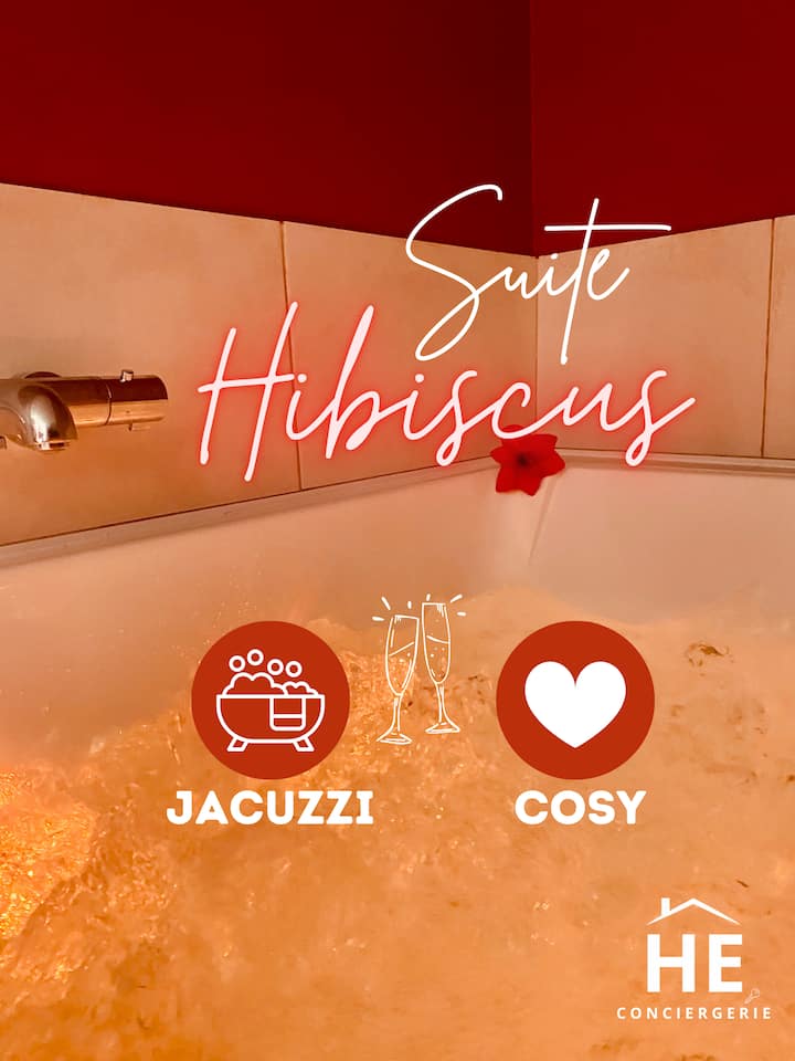 Suite Hibiscus - Jacuzzi - Montargis