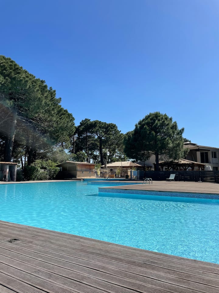 Bel Appartement Avec Piscine Proche Porto Vecchio - Lecci