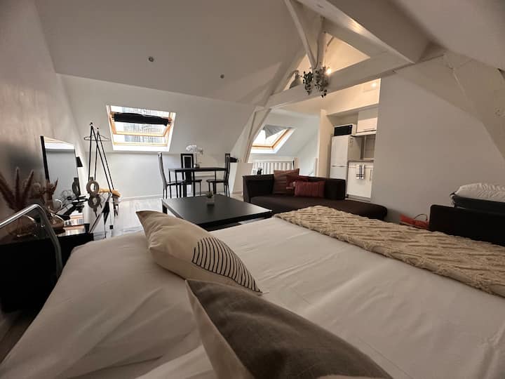 𝑺𝒕𝒖𝒅𝒊𝒐 𝑴𝒂𝒏𝒕𝒆𝒔 𝑳𝒂 𝑱𝒐𝒍𝒊𝒆 𝒄𝒆𝒏𝒕𝒓𝒆 𝒂̀ 𝟓𝟎𝒌𝒎 𝑷𝒂𝒓𝒊𝒔 - Val-d'Oise