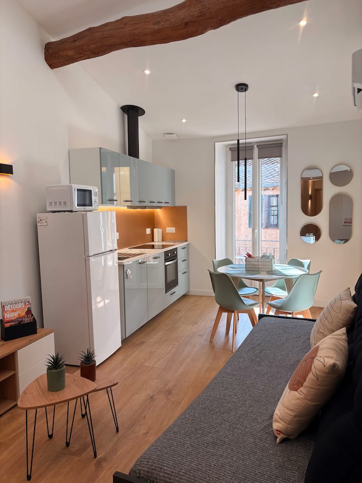 Charmant Appartement Climatisé à Villeneuve-loubet - Villeneuve-Loubet