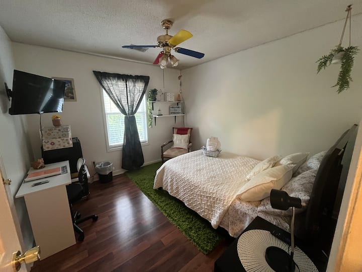 Comfort Room 3- Near Uga Veterinary - Athens, GA