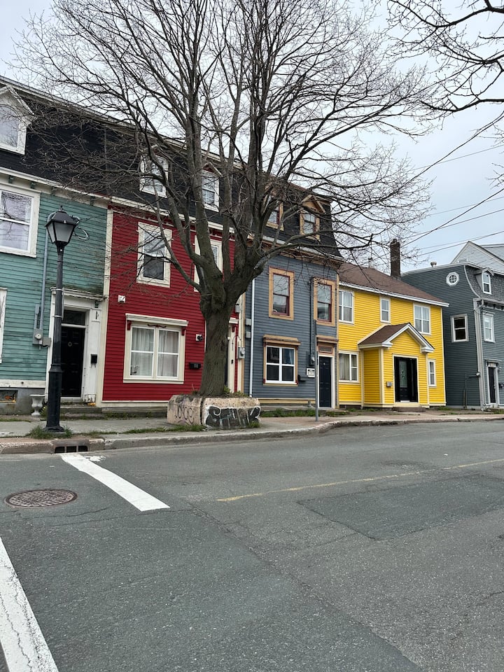 Colorful Charm: Jellybean 3br House In St. John's - カナダ セント・ジョンズ