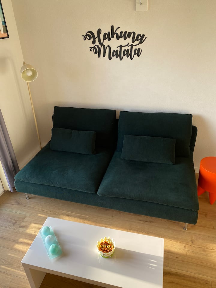 Beau Duplex 1e Ligne, Vue Sur Mer, Piscine - 5p - Biscarrosse