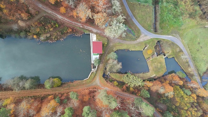 Le Chalet De L'ourche - Vosges