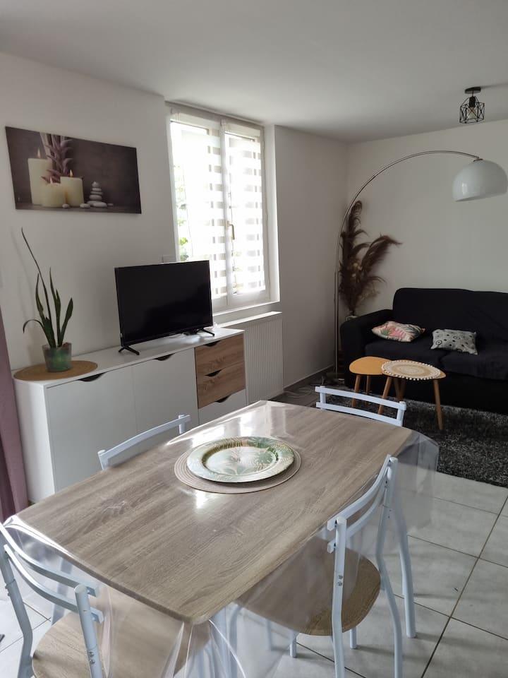 Maison Entière Paisible 
Jardin - Tarbes