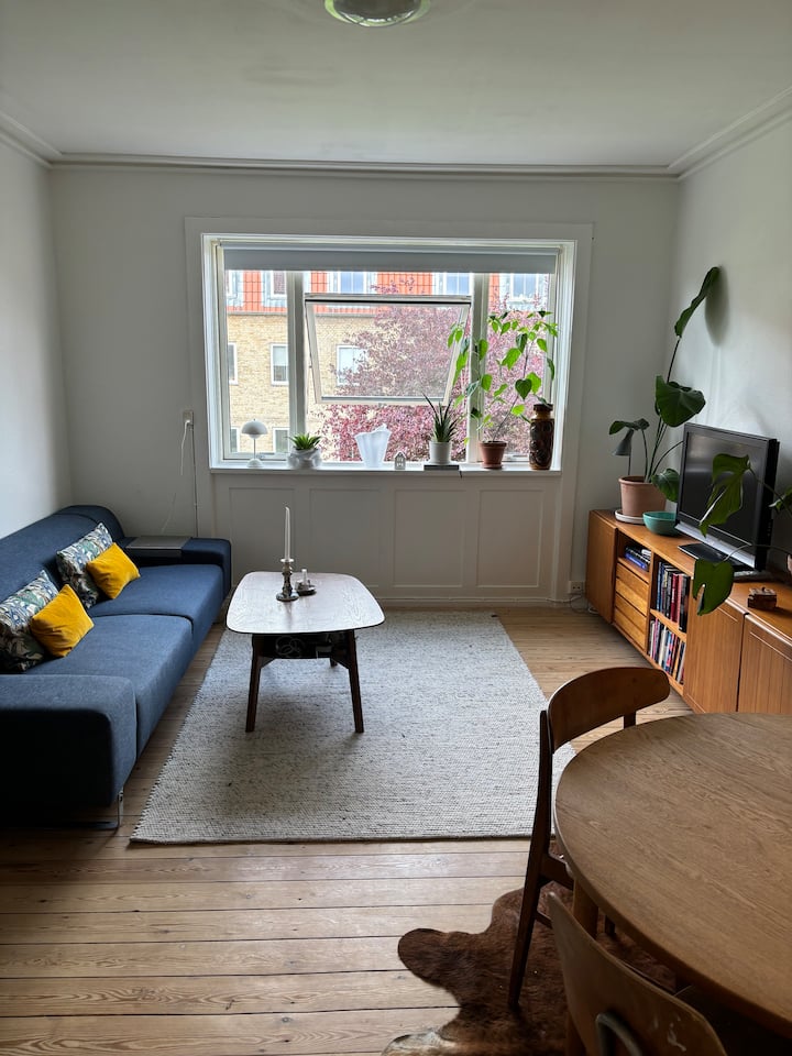 Charmerende Studio I København - Copenhague