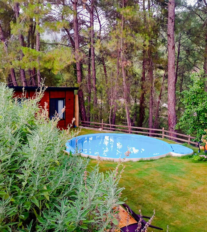 Doğanın Kalbinde Ağaç Ev - Fethiye