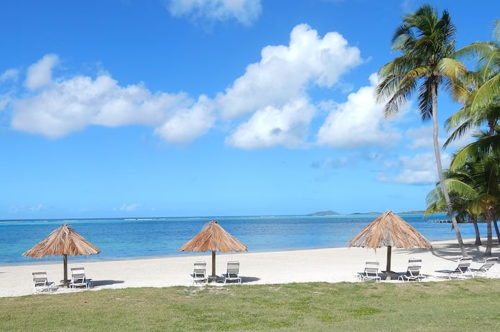 Luxe Condo On The Beach With Pool And Hot Tub - Saint Croix