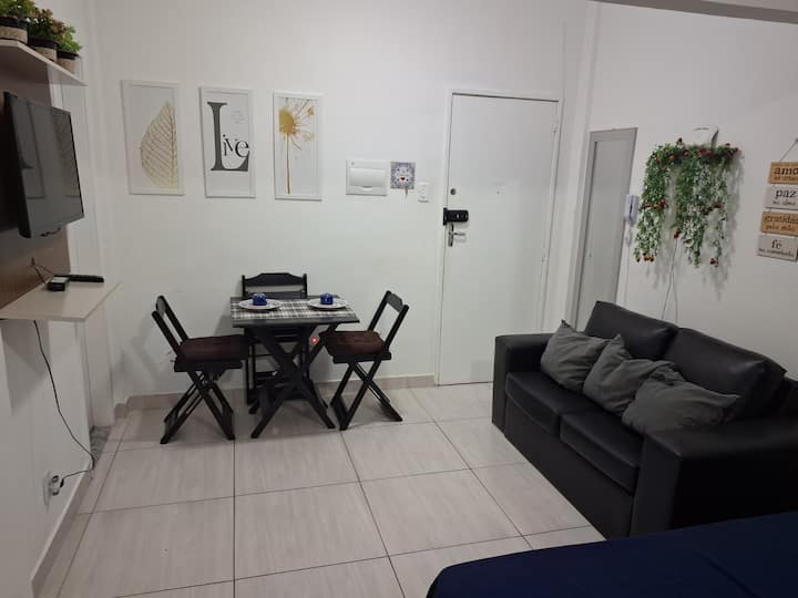 Apartamento No Rio Perto Do Centro - Rio de Janeiro