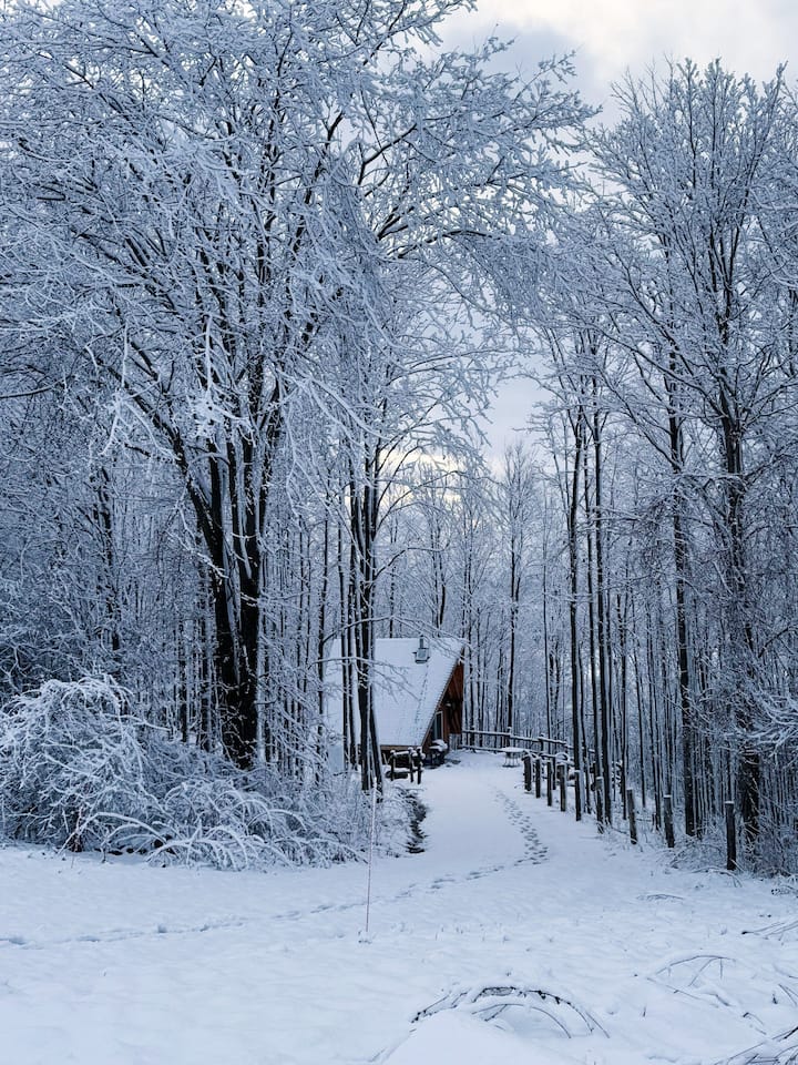 Minniehill A-frame - Meaford