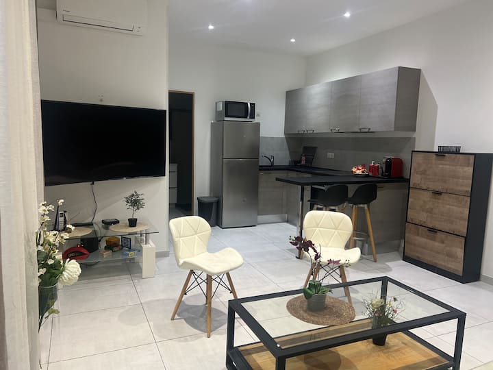 Appartement 2 Pièces Au Centre De Nice - Nice