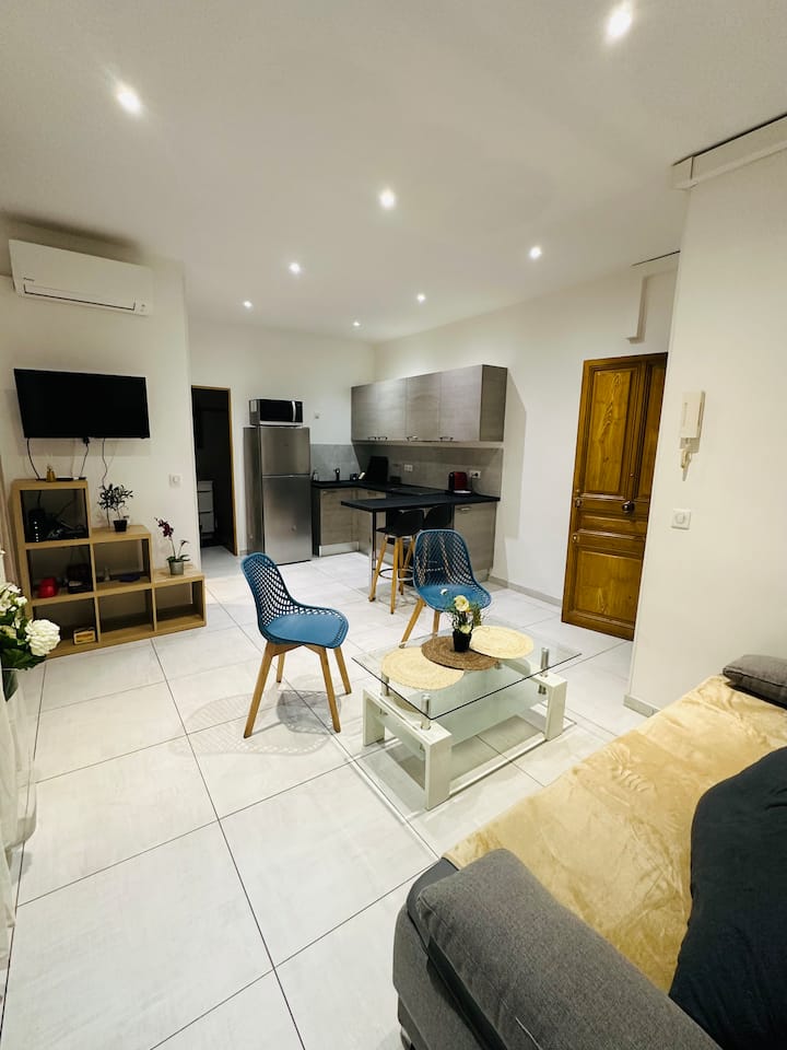 Location Appartement 2 Pièces Au Centre De Nice - Nisa
