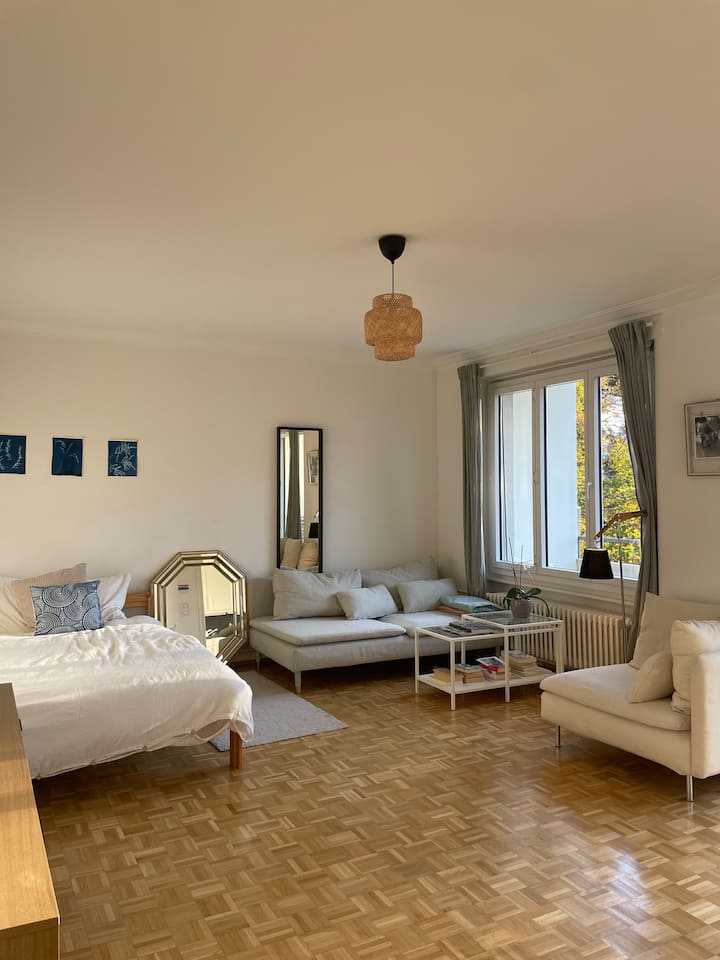 Coziness Amidst Calm Surrounding - Ginebra