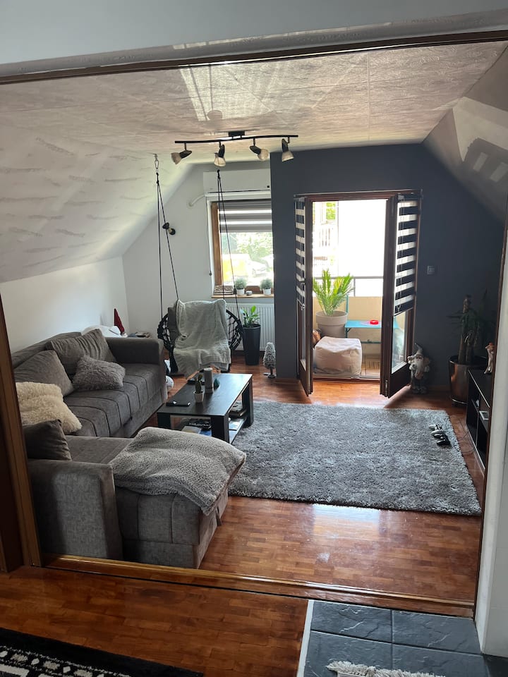 City Center Apartment With Yard - Kragujevac