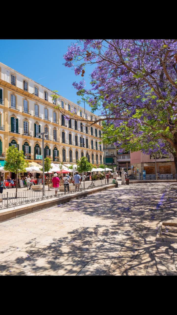 Plaza De La Merced, Super Luminoso (4di) - Málaga