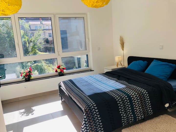 Appartement Calme Avec Parking - Proche Gare/ville - Luxembourg