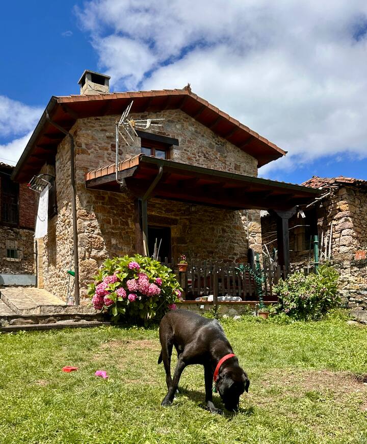 Casa Con Jardín En La Senda A La Cascada De Guanga - Proaza
