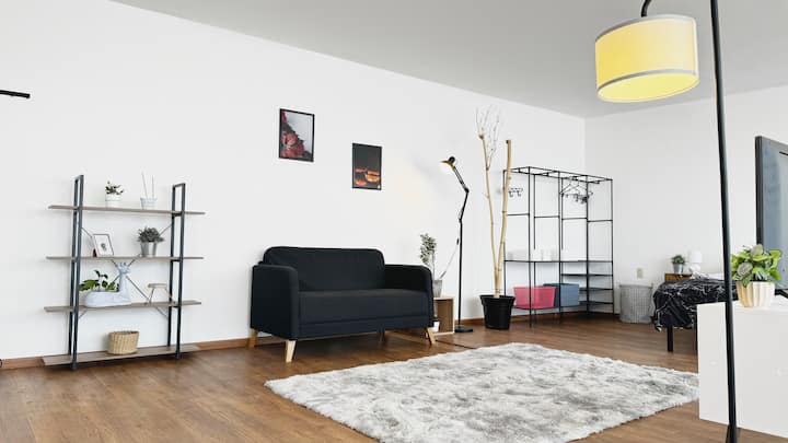 King Size Centrical Studio Wi-fi Pet Friendly - Tulancingo