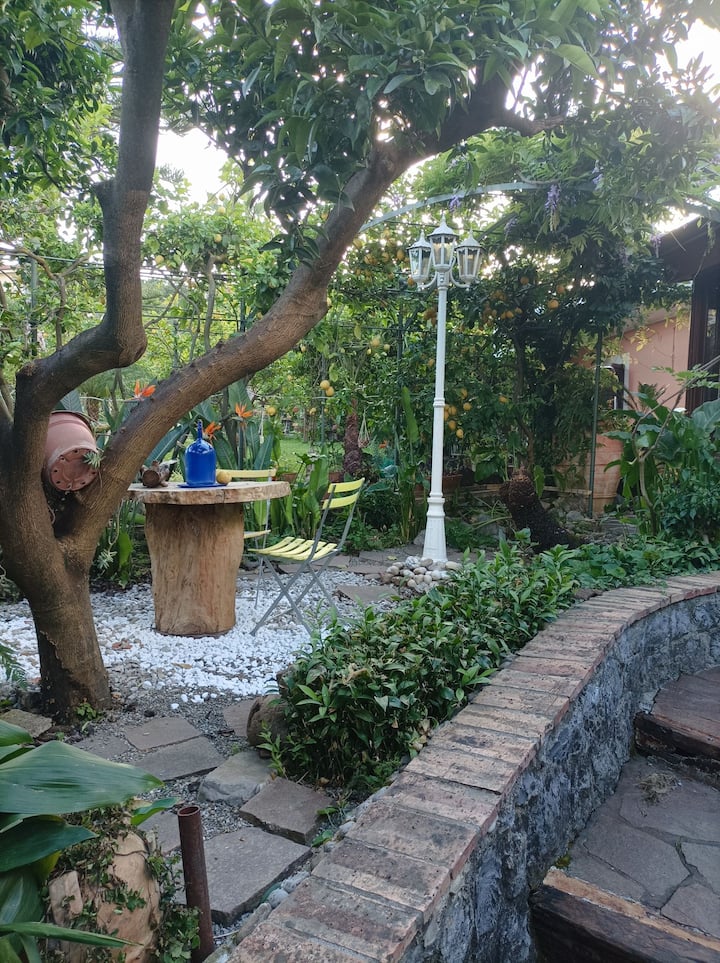 Casa Vacanze Pami' - Vibonati