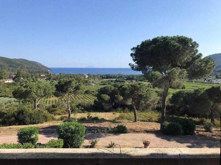 Bilocale N 2 Vista Mare! - Portoferraio