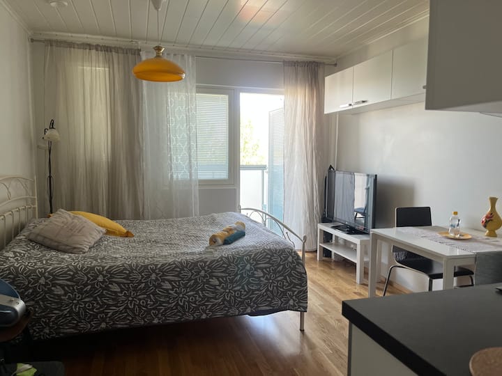 Airconditioned, Beautiful Studio With Balcony - Joensuu