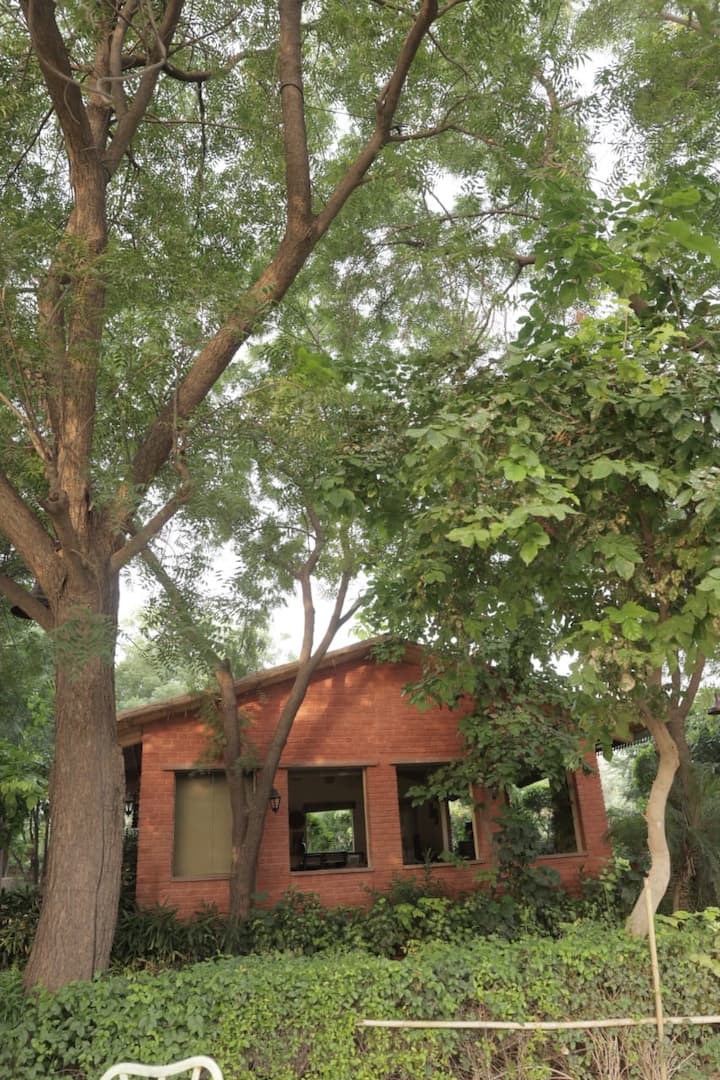 Sukoon 
The घरर…
Pal Road Jodhpur - Jodhpur