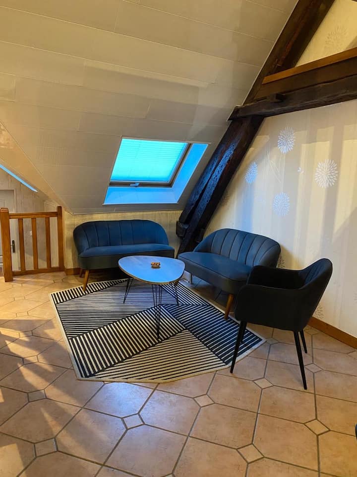 Magnifique Duplex à 600m Du Martroi - Saran