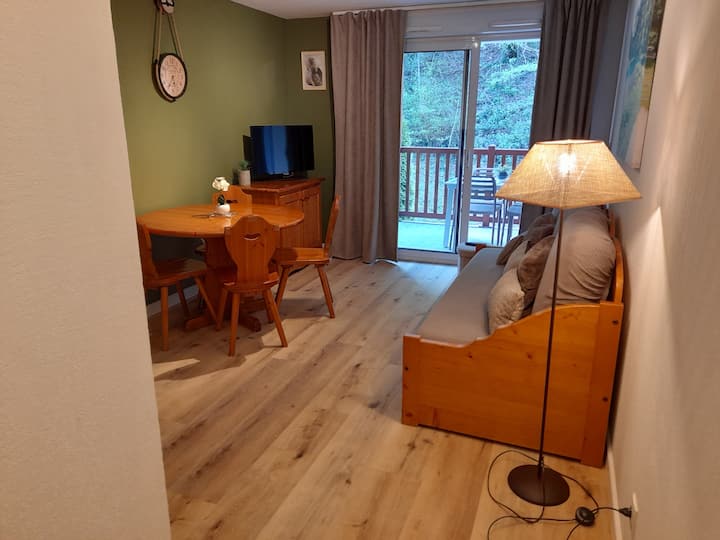 Appartement 2 Pièces à Louer - Saint-Lary-Soulan