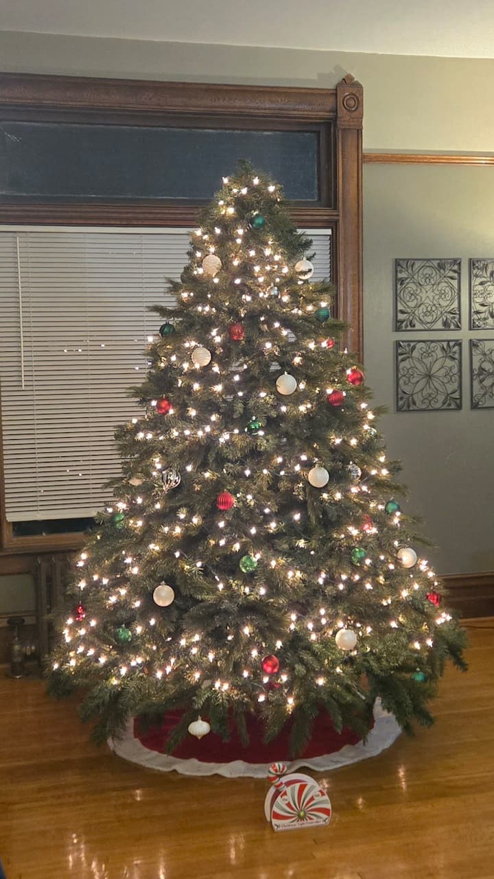 Decorated Holiday Home. Minutes From Bentleyville. - Duluth, MN