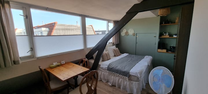 Cosy Room Near Centre Haarlem/beach,. Free Parking - Haarlem