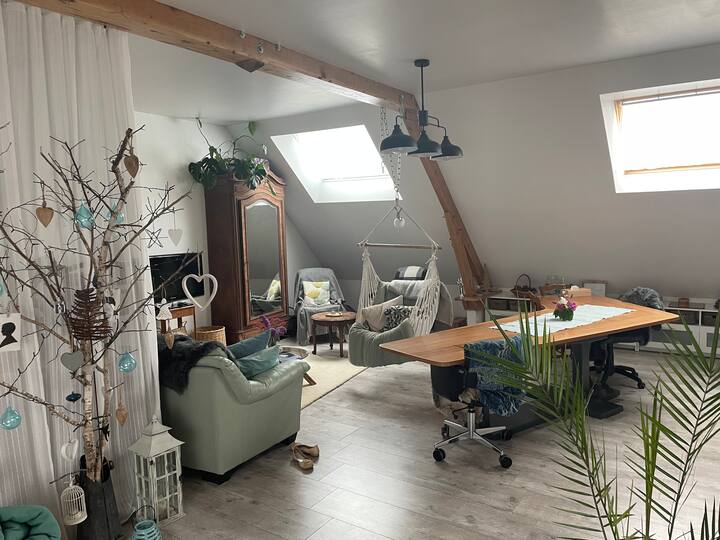 Loft - Appartement Châteaudun - ibis budget Chateaudun