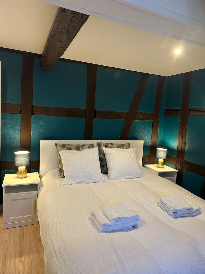 Le Nid - Appartement Hypercentre - Petite Venise - Colmar