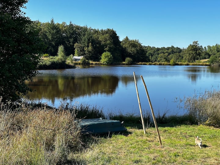 Titicaca, éLevage D'alpagas, Domaine Privé 19ha - Dordogne