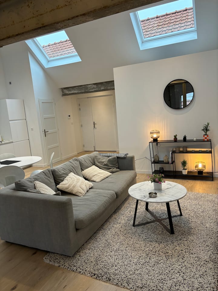 Loft Moderne Dominant La Ville  Avec Loggia - Tourcoing