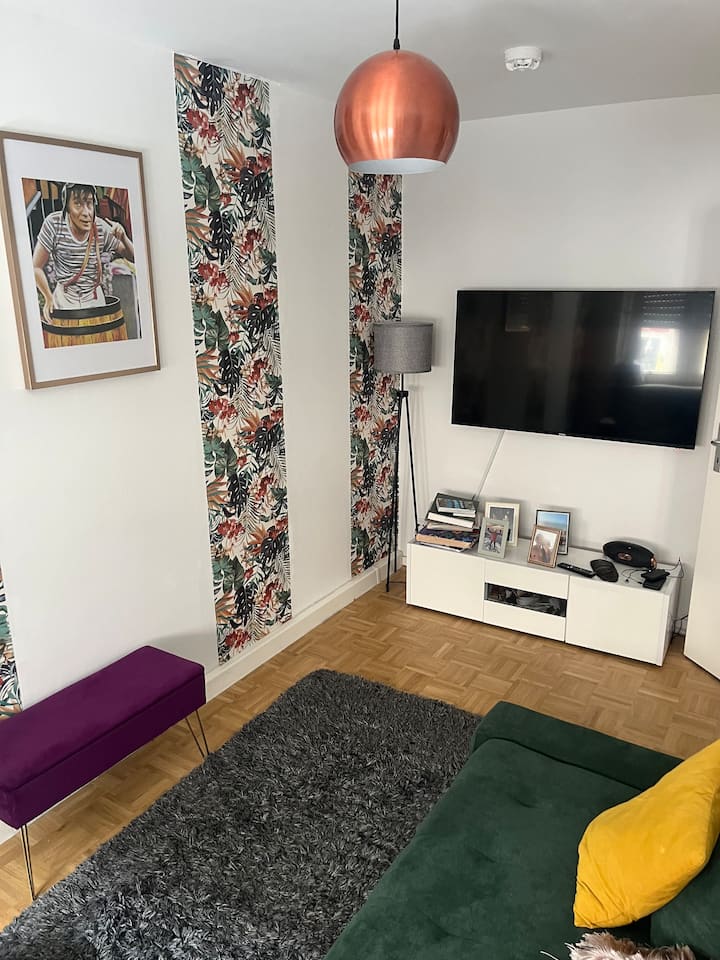 Apartment Maxvorstadt - Munich