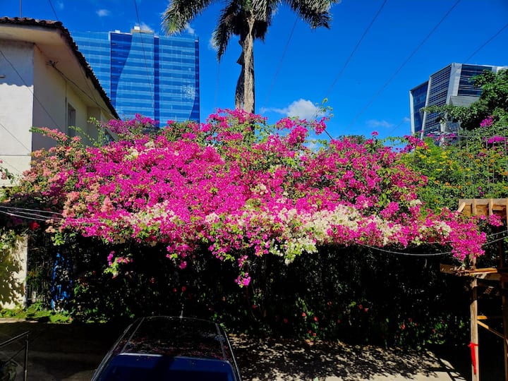 Casa San Benito 246 - San Salvador (El Salvador)